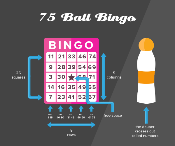 Best No Deposit Bingo Bonuses 2019! Top Online Bingo Sites!